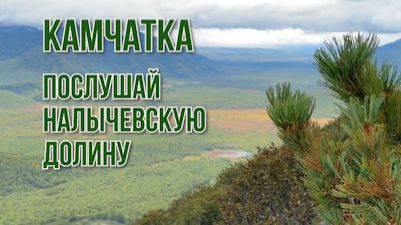 Послушай Налычевскую долину. Камчатка