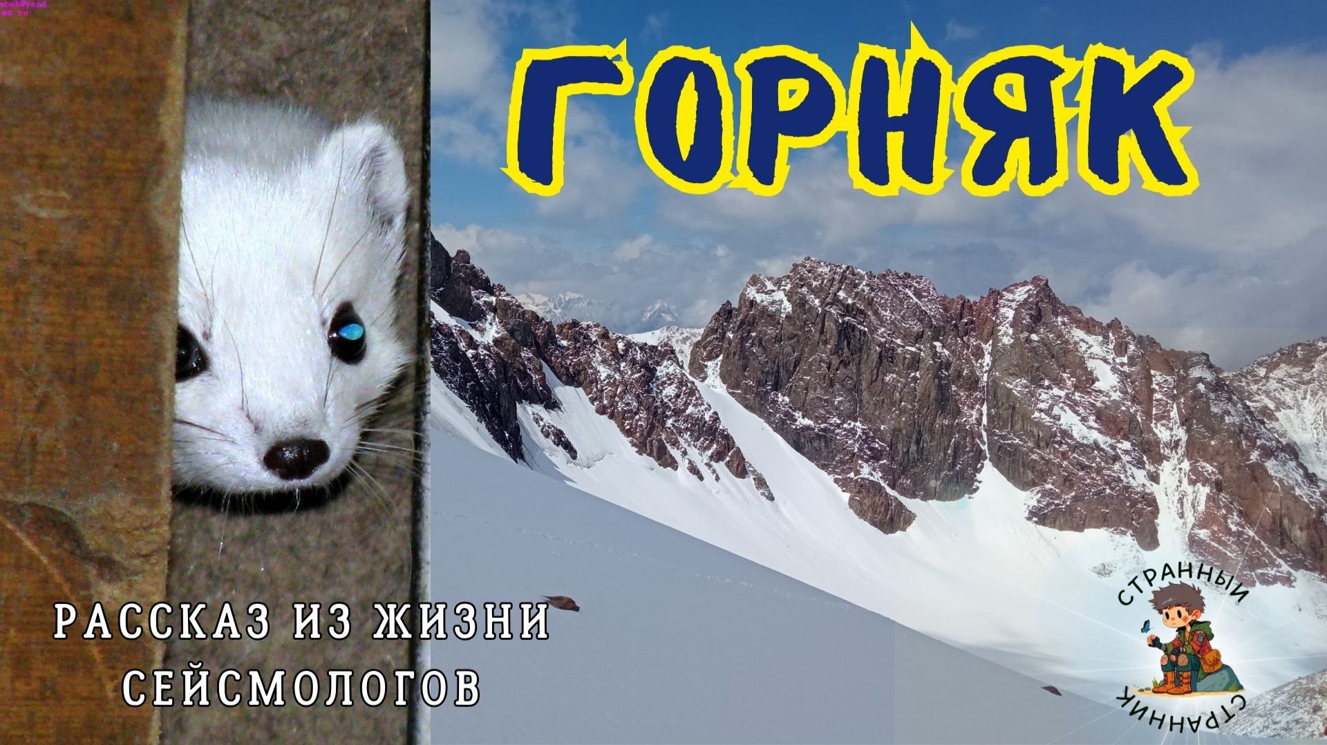Горняк. Реальная встреча в природе