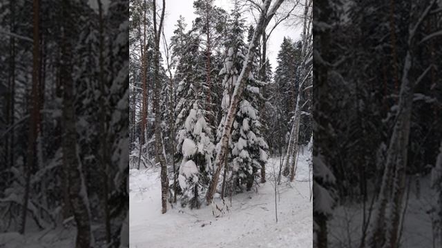 №108 Гармонизация и балансировка пространственных слоёв