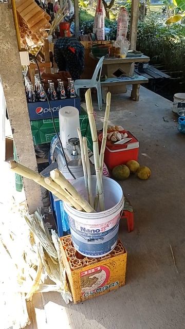 Голубая лагуна - сок тростниковый готовят. Ванг Вьенг (Vang Vieng). Лаос. Январь 2026.