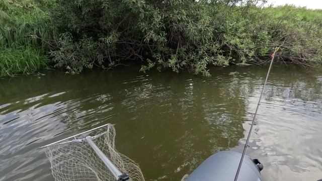 🎣СНОВА СХОД🎣fishing#туризм#природа#ловля#рыбалка#щука#ловлящуки#ночевка#Чулым#река#спиннинг