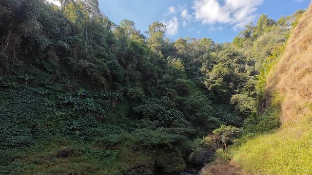 Водопад Tad Gneuang Waterfall внизу. Паксе (Pakse). Лаос. Январь 2026.