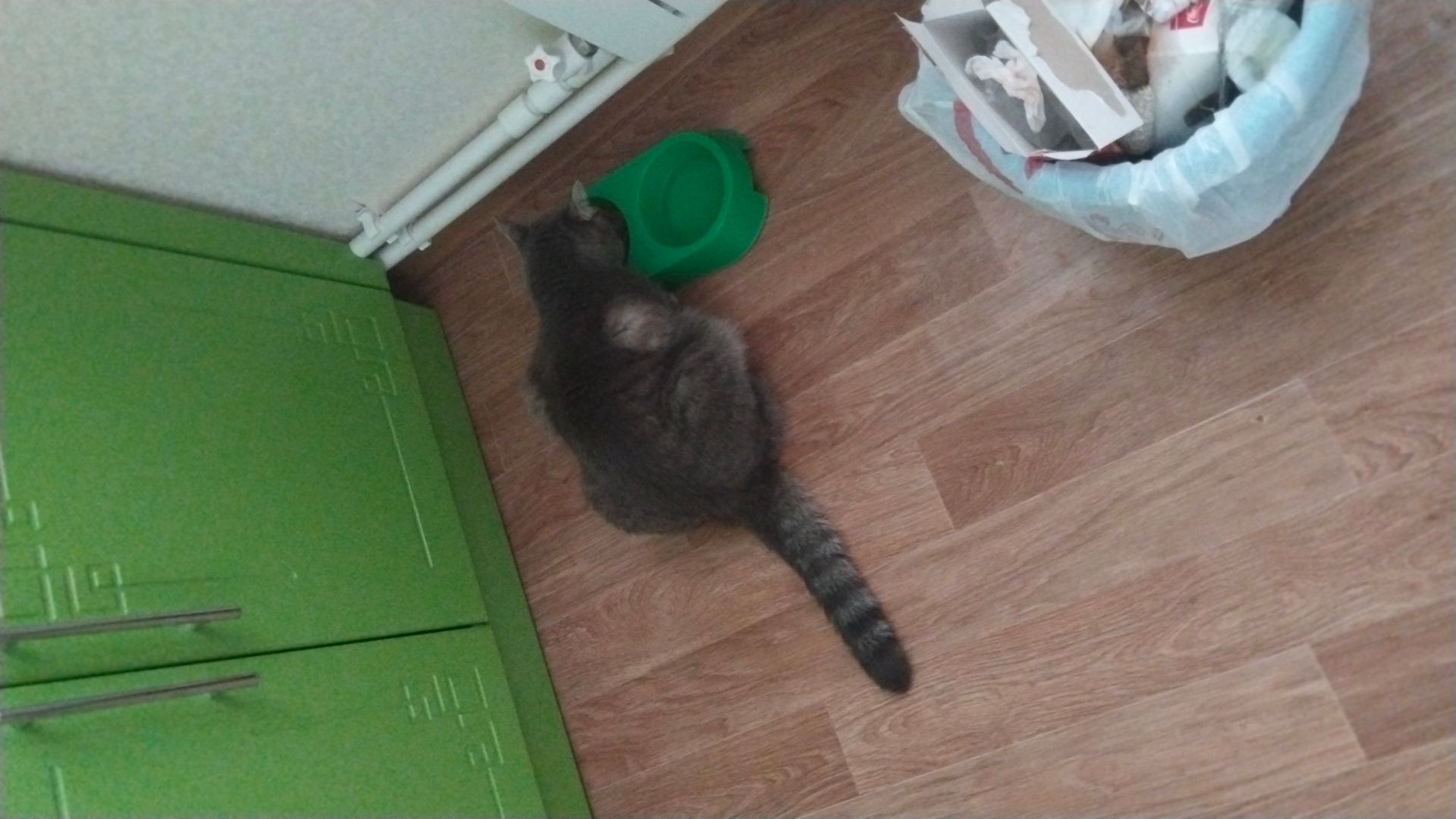 Я против МuРЛт