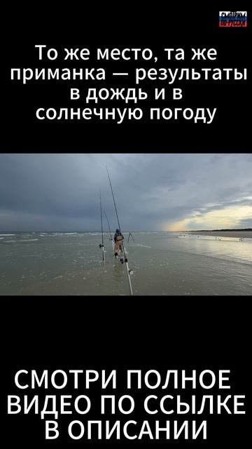 То же место, та же приманка — результаты в дождь и в солнечную погоду ЧАСТЬ 6/9