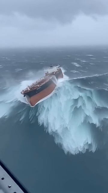 Кто победит - Грузовой корабль против волны-монстра?