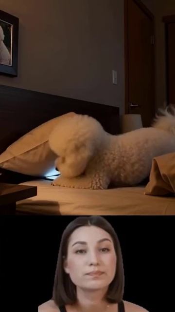 Зависимость от мобильного телефона