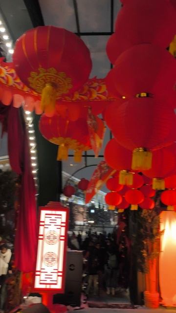 Китайский Новый Год в Москве 2026