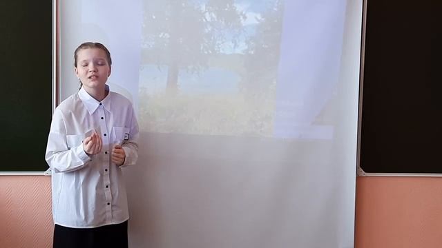 Николай Рубцов "Березы".