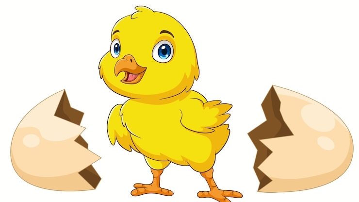 пополнение