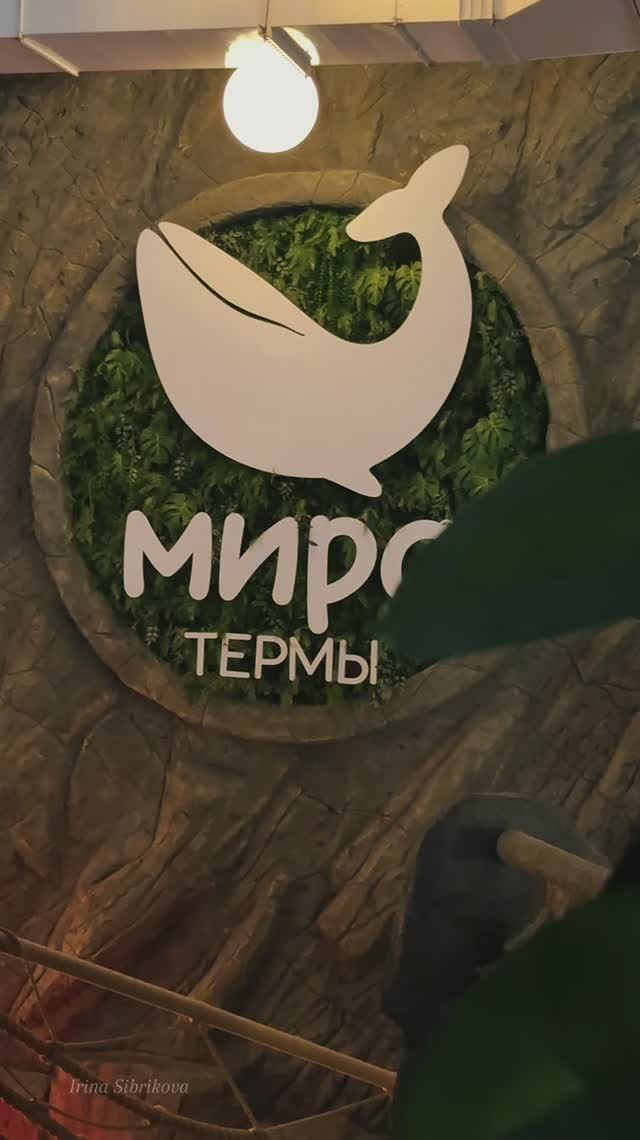 МИРА ТЕРМЫ 🐋 Новосибирск