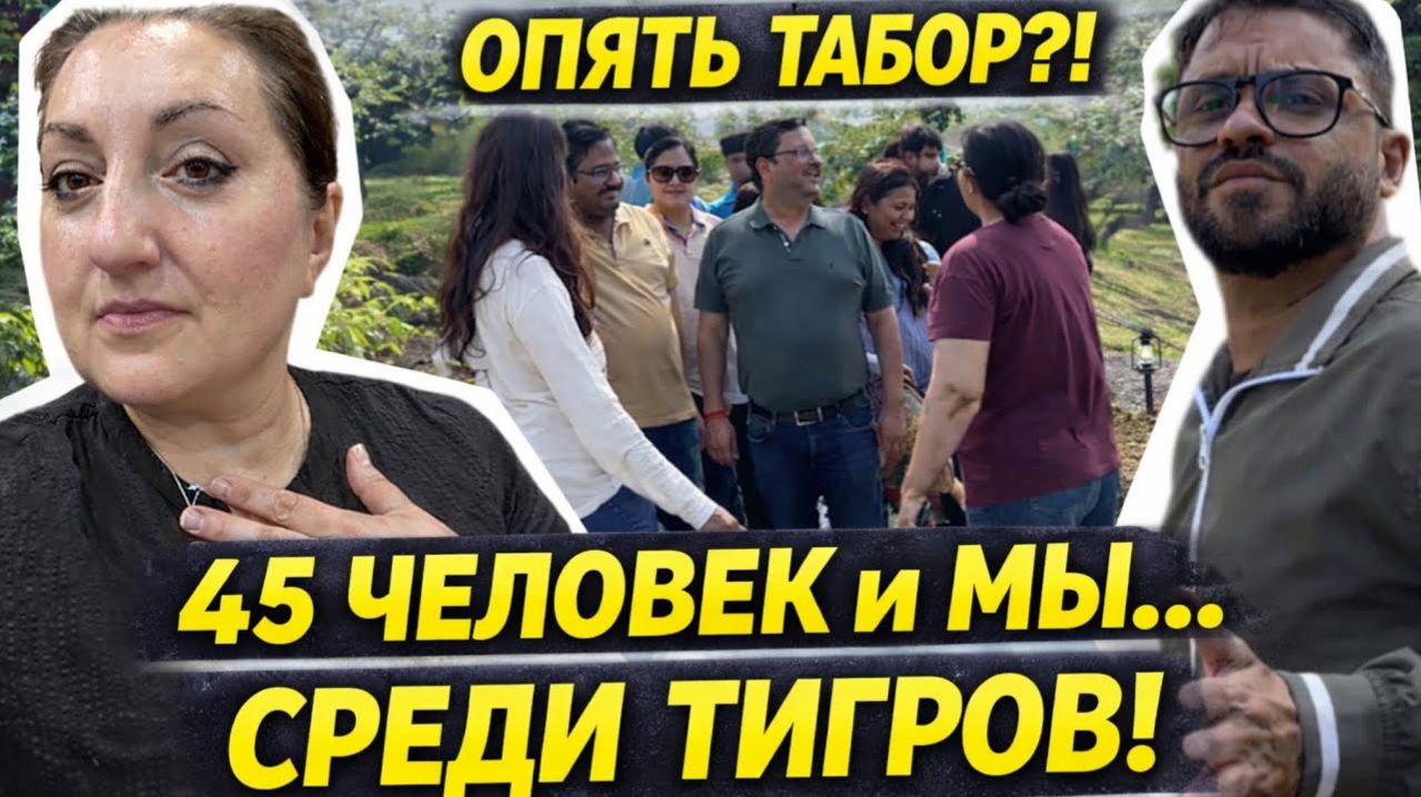 Привет Я Индия- ТАК ОТДЫХАТЬ НЕЛЬЗЯ- ГОДОВЩИНА СВАДЬБЫ В ДЖУНГЛЯХ СРЕДИ ТИГРОВ!