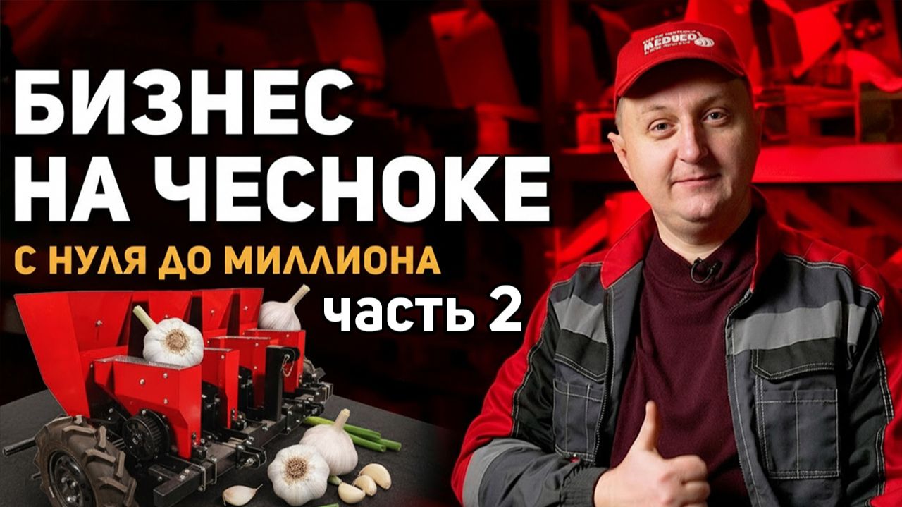 Бизнес на чесноке: С чего начать новичку? Часть 2
