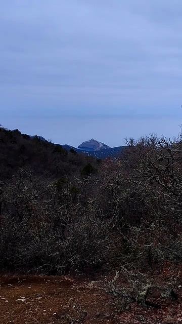 Во время нашей прогулки вдалеке мы увидели мыс Капчик и изумрудную бухту. Февраль. Крым. Новый Свет.