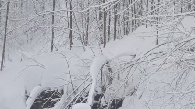 Крайний день зимы...календарной!