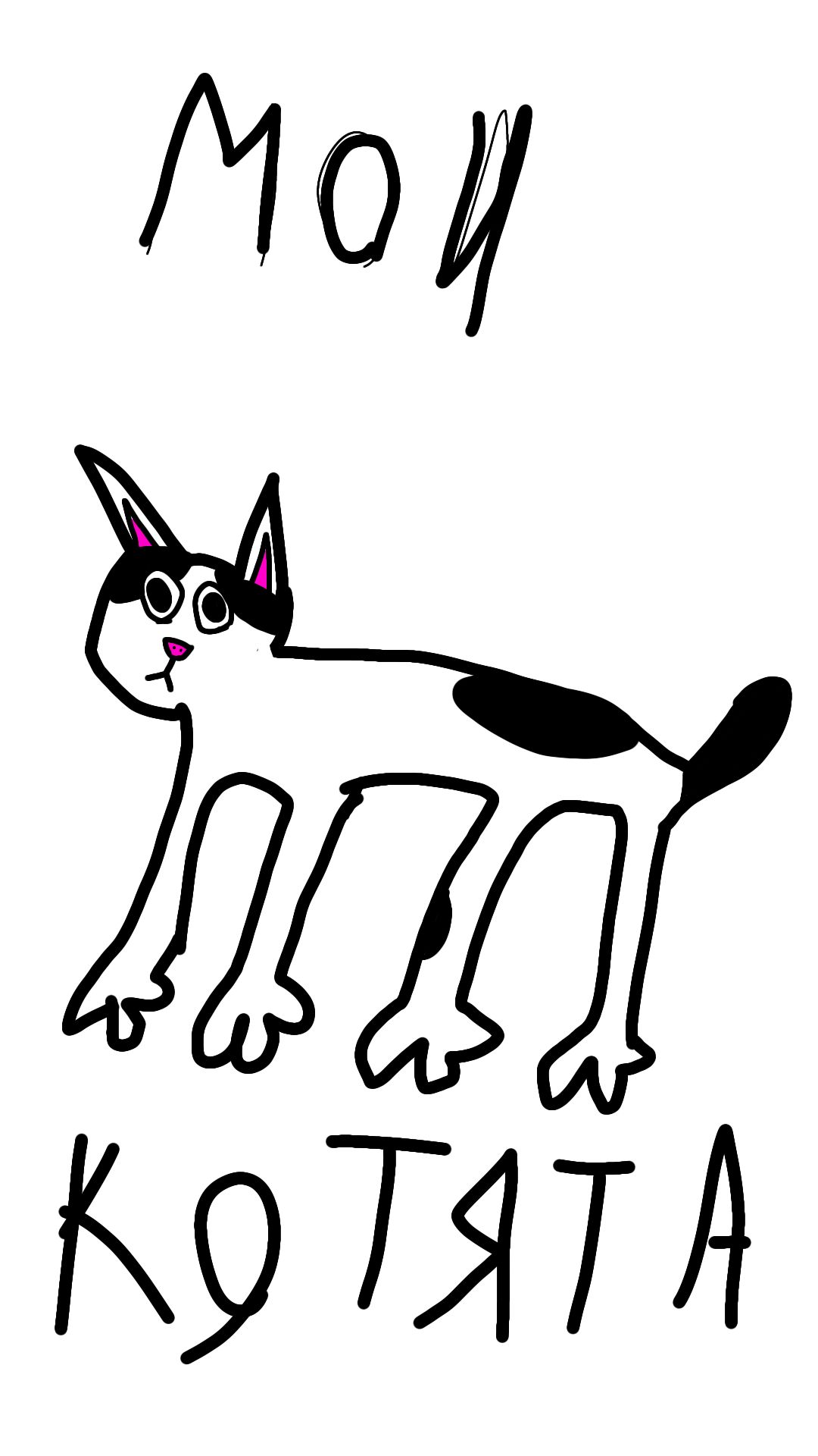 Мои котята! #милота#котики#коты#котята