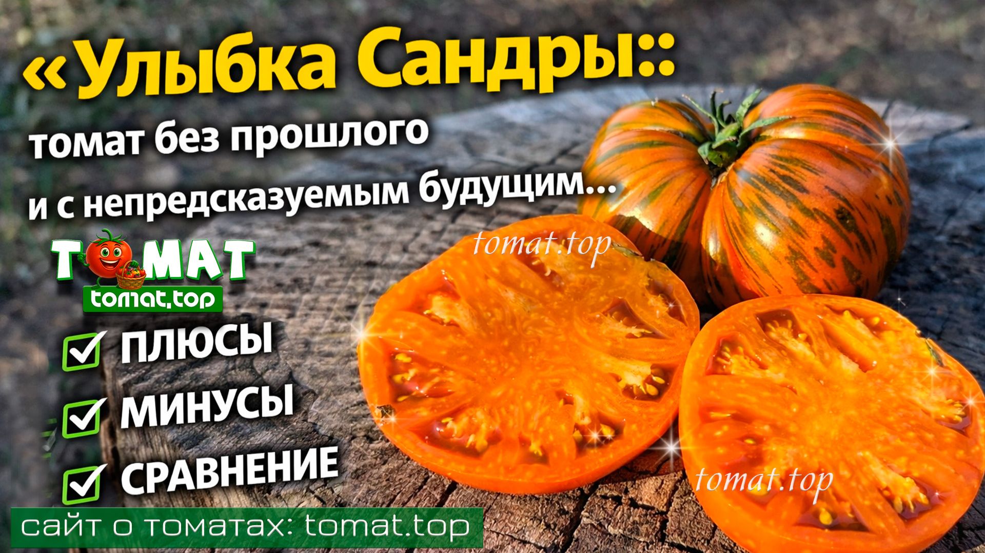 «Улыбка Сандры»: томат без прошлого и с непредсказуемым будущим… Плюсы, минусы, сравнение