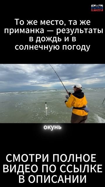 То же место, та же приманка — результаты в дождь и в солнечную погоду ЧАСТЬ 7/9