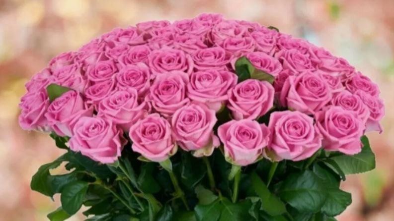 Урок английского. 6 признаков влюбленности у девушек.