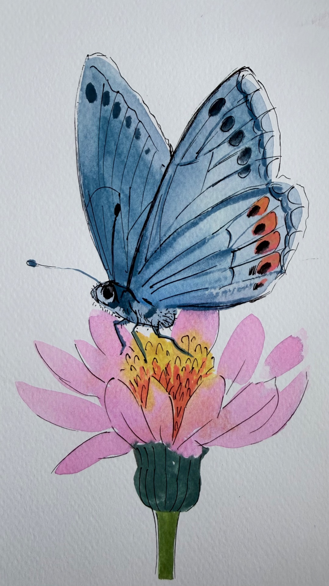 Как выбрать водостойкие ручки для рисования перед заливкой акварелью👇