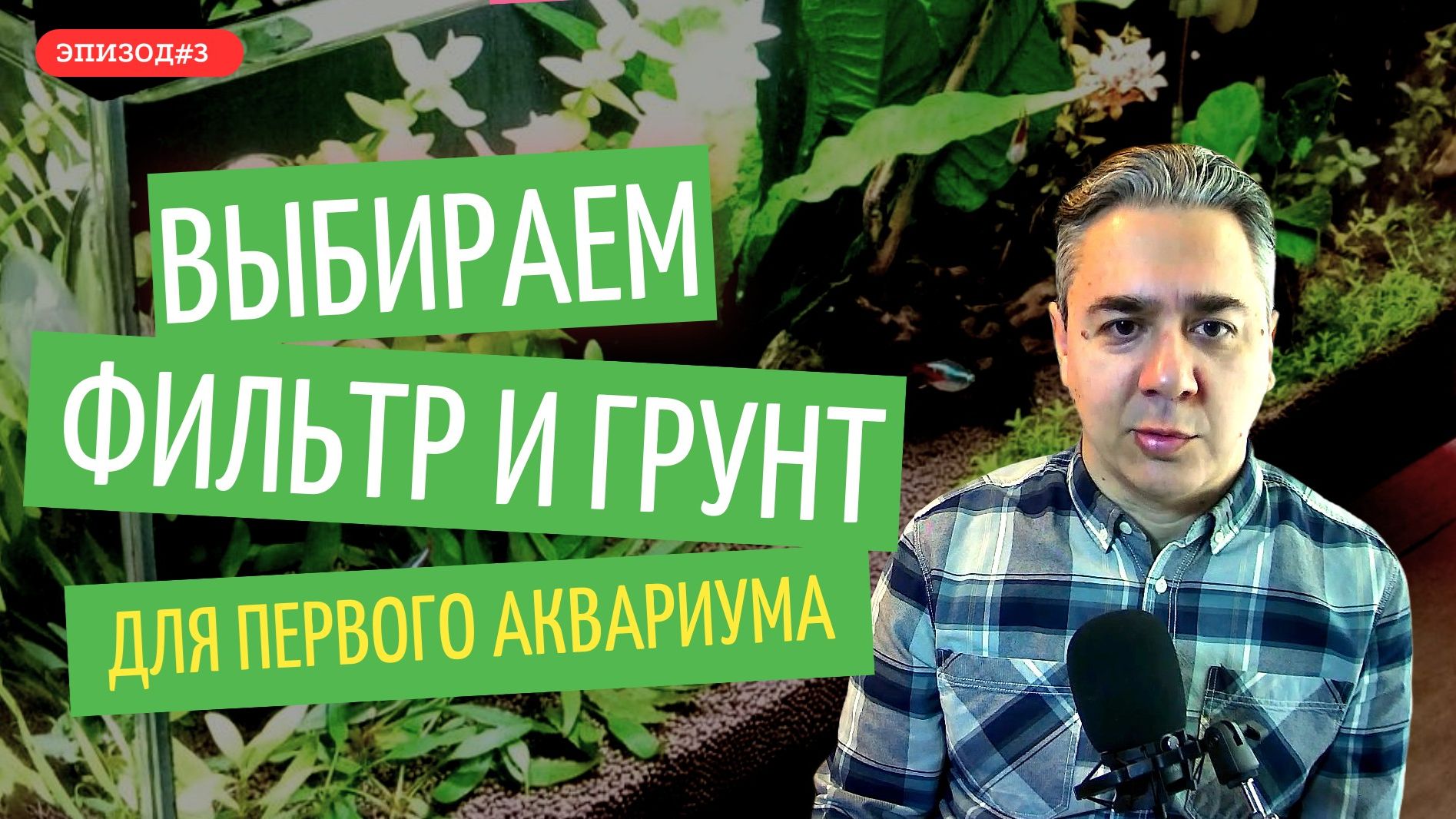 Выбираем фильтр и грунт для первого аквариума. Эпизод#3