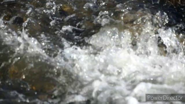 г.Липецк. У дамбы. Март 2024 г.