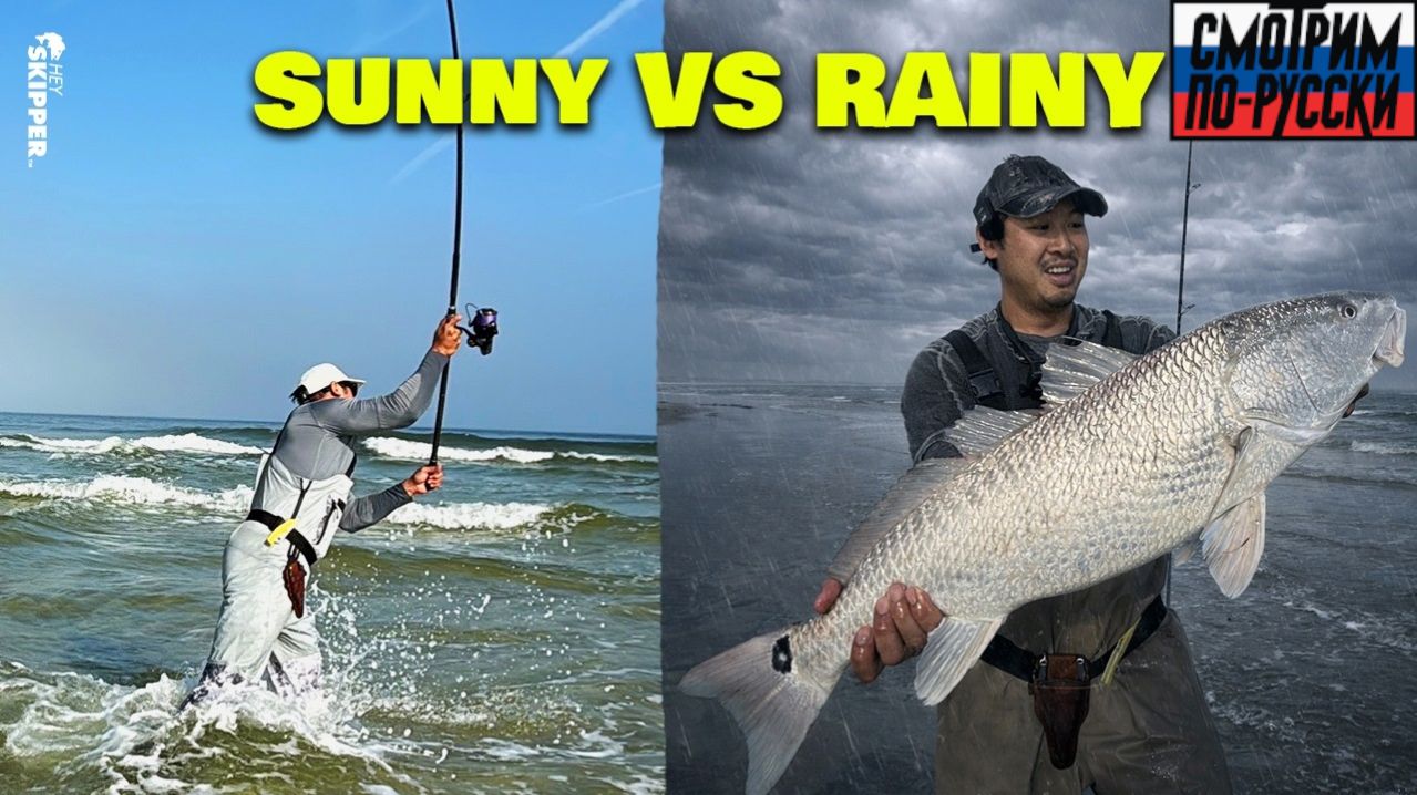 То же место, та же приманка — результаты в дождь и в солнечную погоду