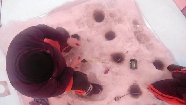 Белое море  ловля корюшки в мороз -31