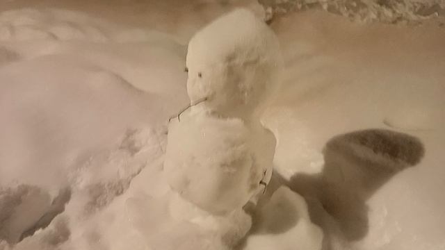 Снежный апокалипсис в Москве: синоптики в шоке от рекордных за 72 года сугробов