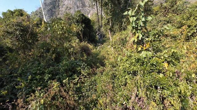 Зиплайн (Zipline), полёт над деревьями. Ванг Вьенг (Vang Vieng). Лаос. Январь 2026.