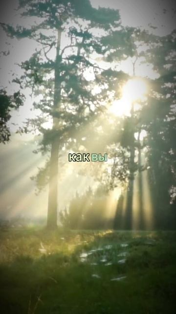 Пришло время сфокусироваться