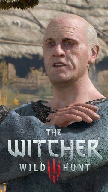ТАК ведьмаков ещё не обзывали! Вылитый ведьмак  The Witcher 3 - Wild Hunt