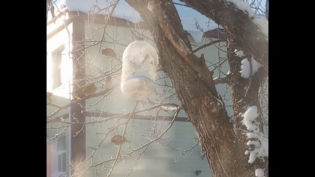 Дача, ремонт, стены