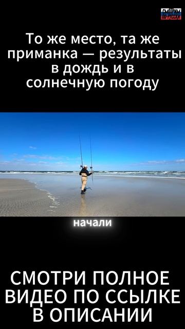То же место, та же приманка — результаты в дождь и в солнечную погоду ЧАСТЬ 1/9