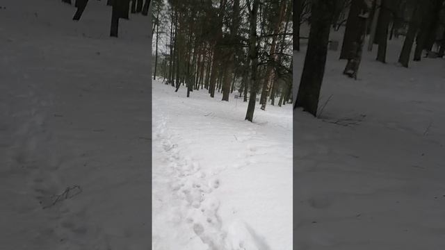 ВЕЛОПРОГУЛКА ПО КИРОВСКУ 280226__А3 Н_СОФ ТРИ (8)