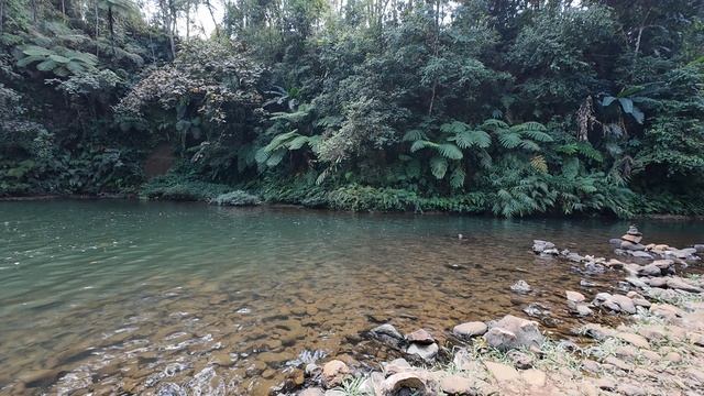 Водопад Cham Pee Waterfall пляж, лагуна. Паксе (Pakse). Лаос. Январь 2026.
