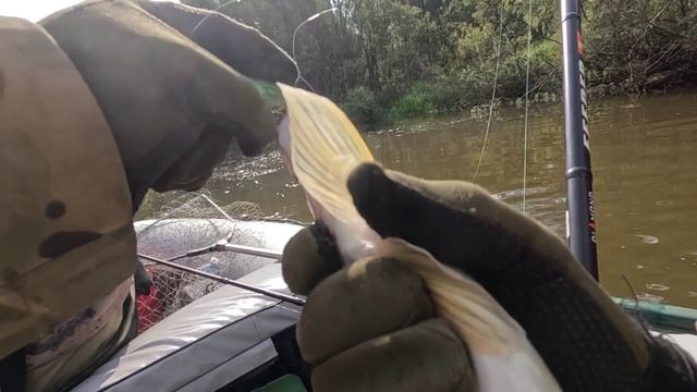 🔺️🎣ШУРОГАЙКА🎣🔺️fishing#туризм#природа#ловля#рыбалка#щука#ловлящуки#ночевка#Чулым#река#спиннинг