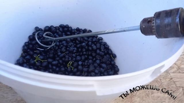 Как сделать домашнее вино из винограда Этап1