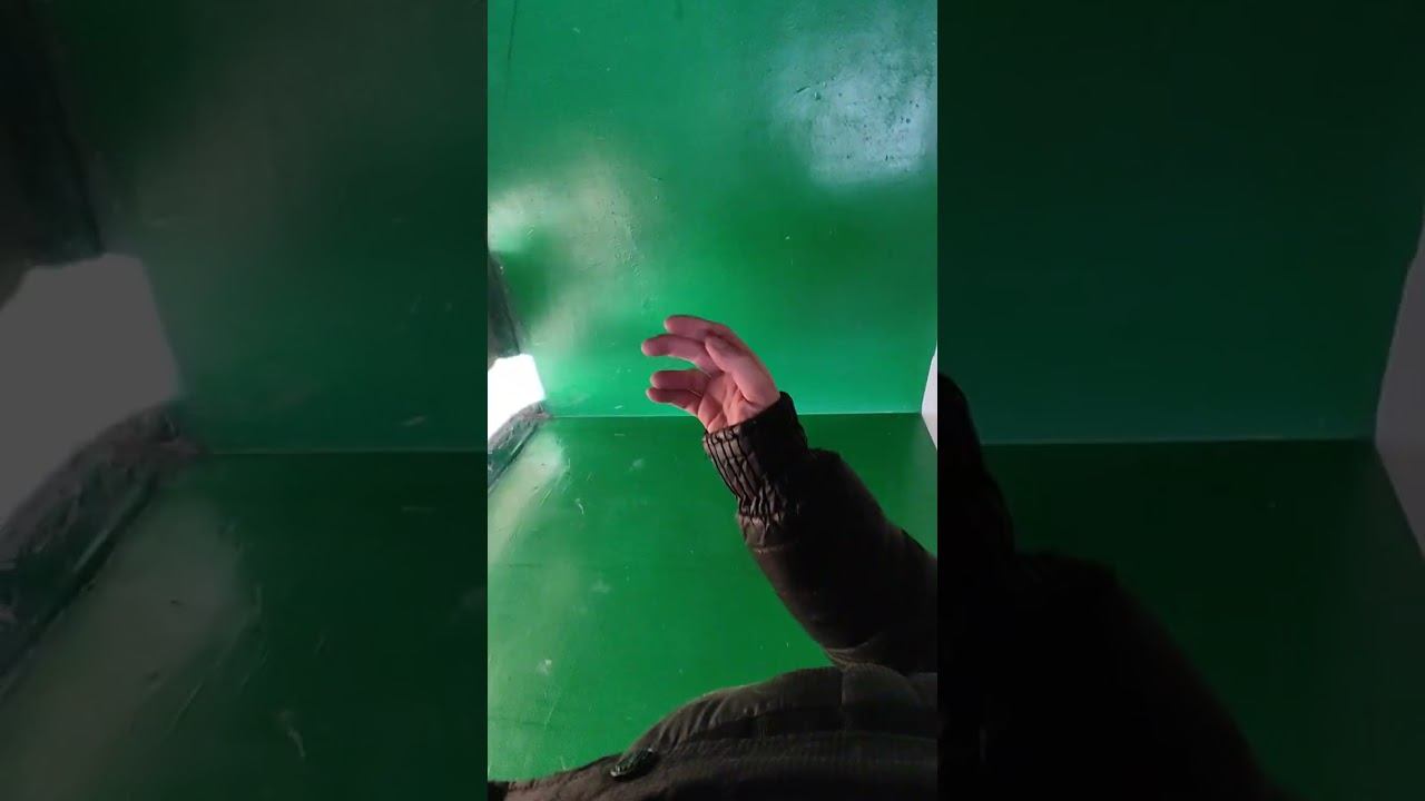 жуткая вонь от этой Тафинцевой снова открыла дверь,