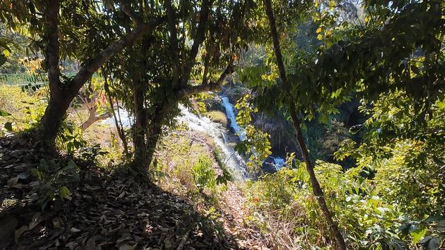 Водопад Tad Gneuang Waterfall река наверху. Паксе (Pakse). Лаос. Январь 2026.