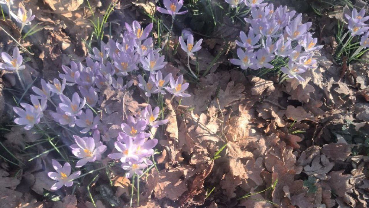 О выходе из «дня сурка»