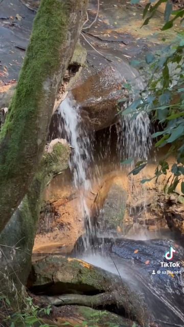 Что делать, если присосалась пиявка.