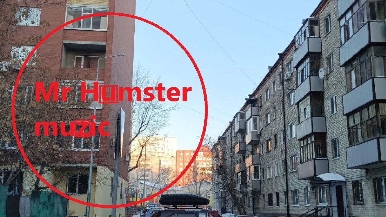 Mr Humster muzic / bass 15