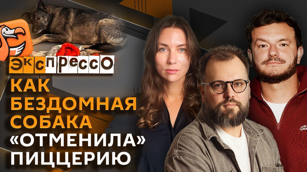 эКспрессо. Запрет на въезд в ЕС участникам СВО, Минпросвещения и игрушки, скандал из-за Додобони
