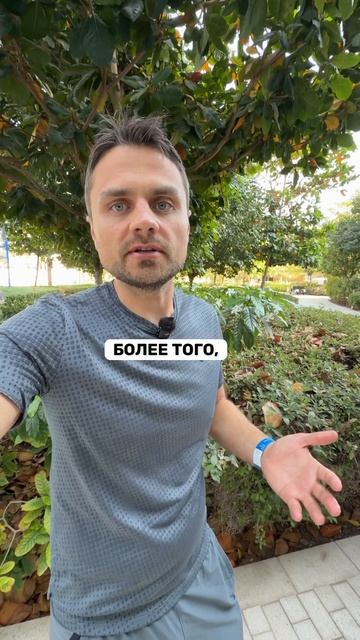 Не повторяйте этого у пирамид: в Египте за это арестовали гида