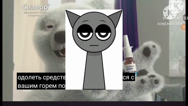 sialor_gray_incident_2017