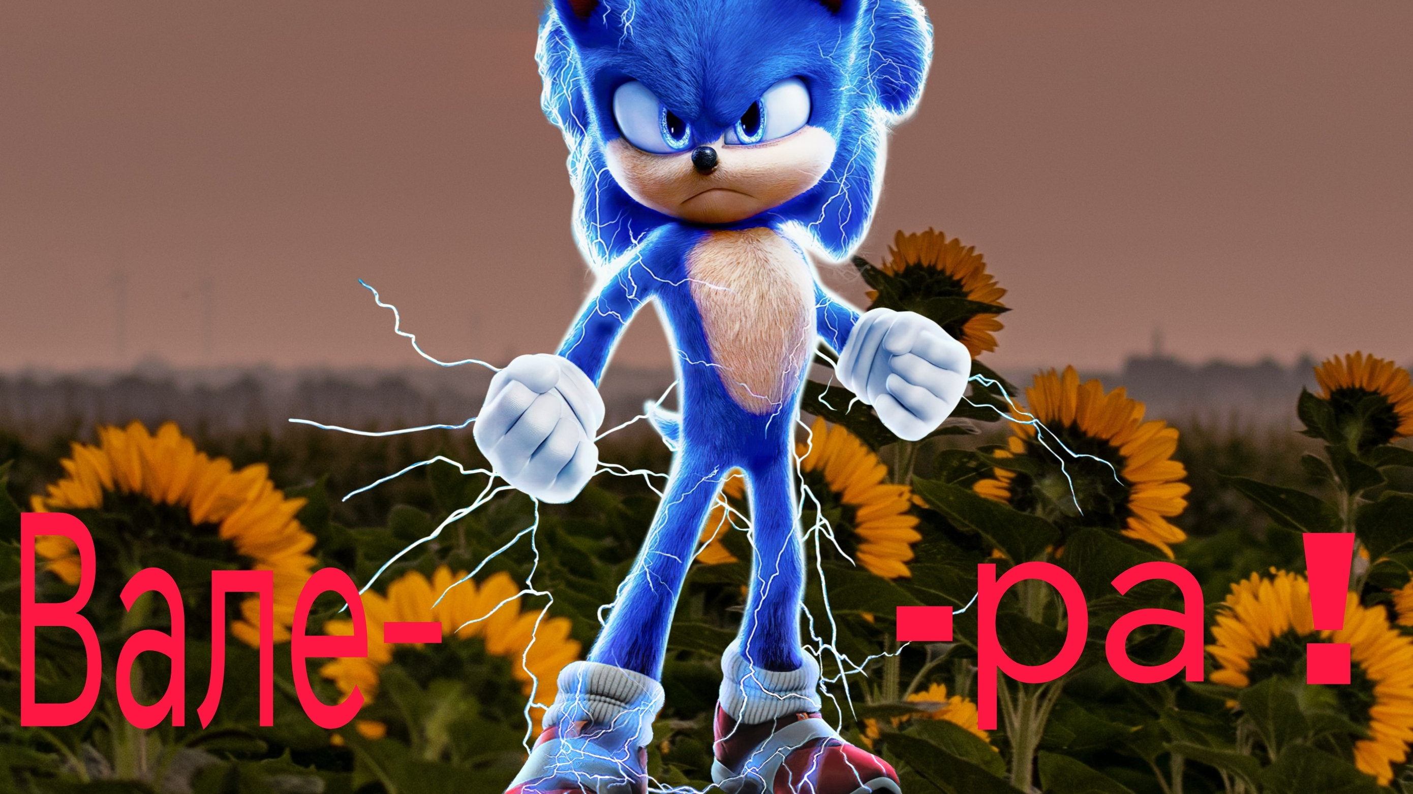 я придумал имя своему Сонику