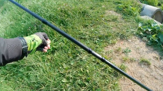 Окунь на микроджиг.