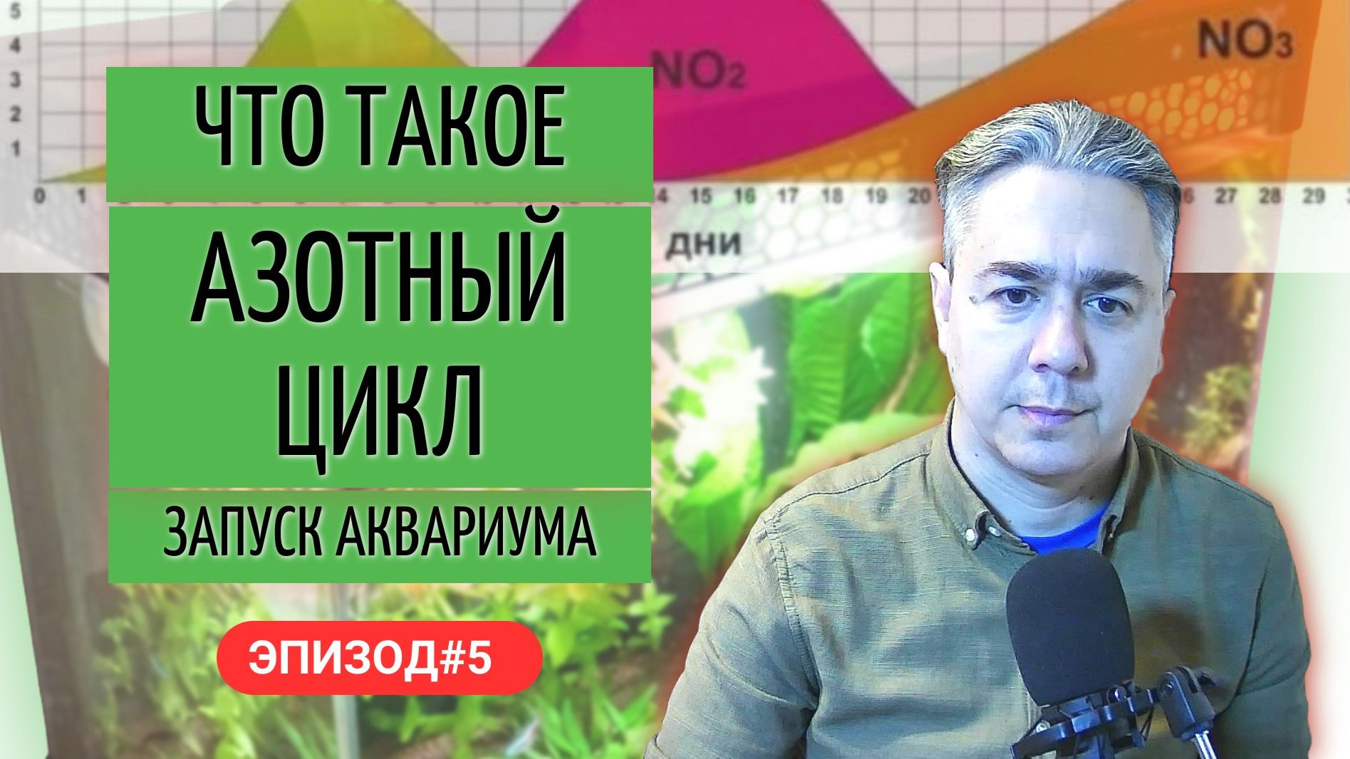 Запуск аквариума с учетом азотного цикла. Эпизод#5