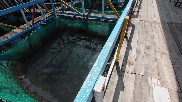 Тур на острова из Ня Чанга, рыбацкая деревня. Вьетнам. Январь 2026.