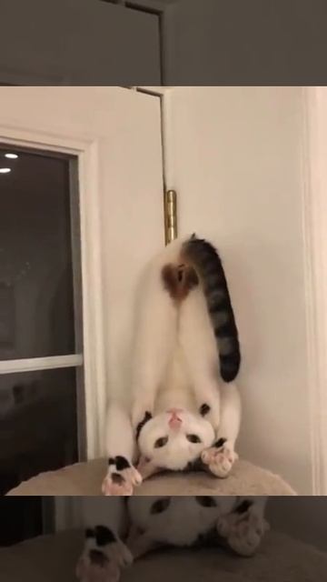 Я такая загадочная 😻